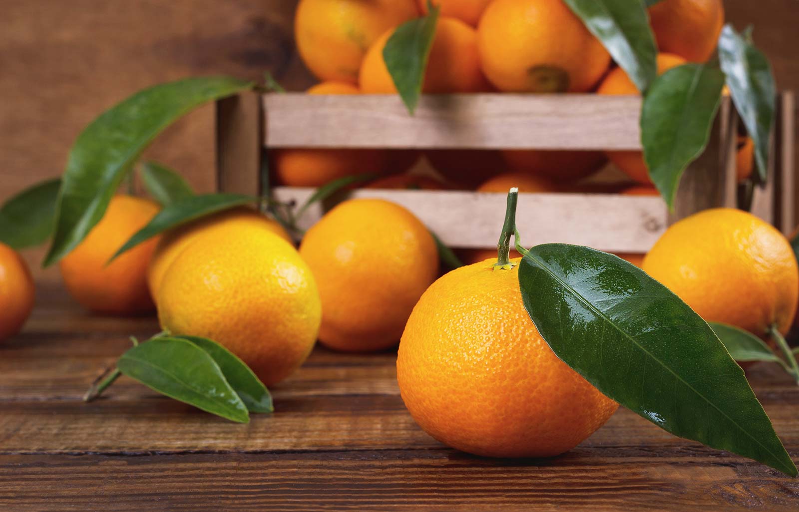 Chilean Murcott Mandarin Oranges - Kin's Farm Market