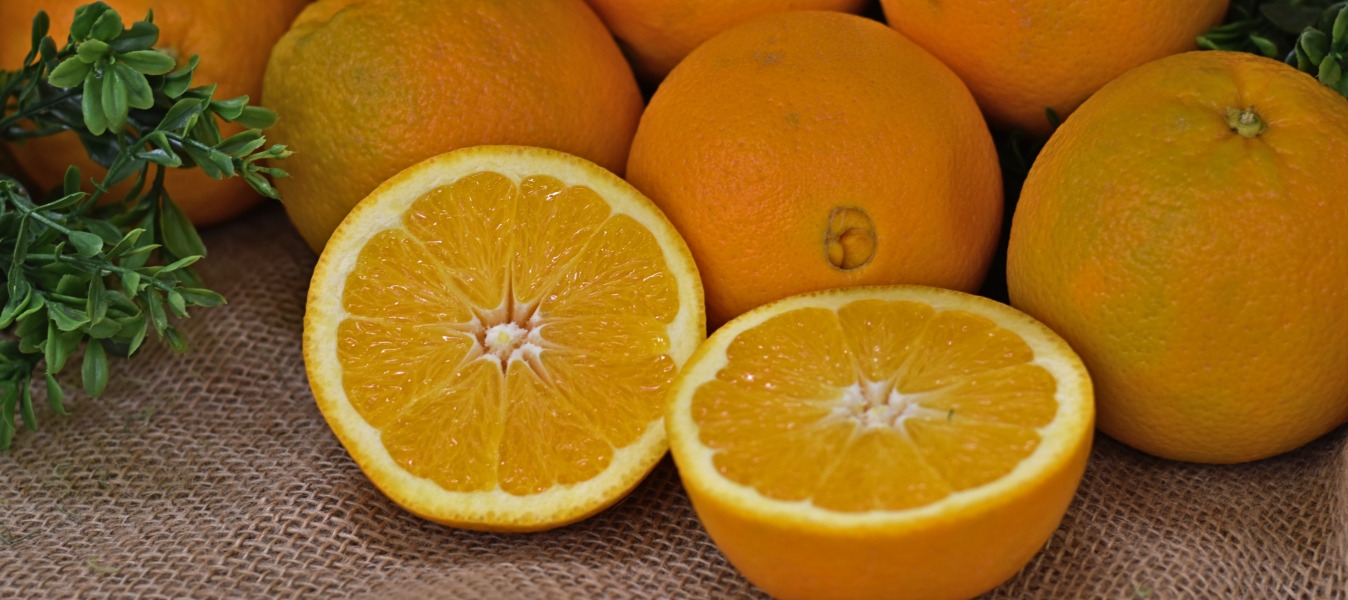 Blue Jay Navel Oranges - Kin's Farm Market