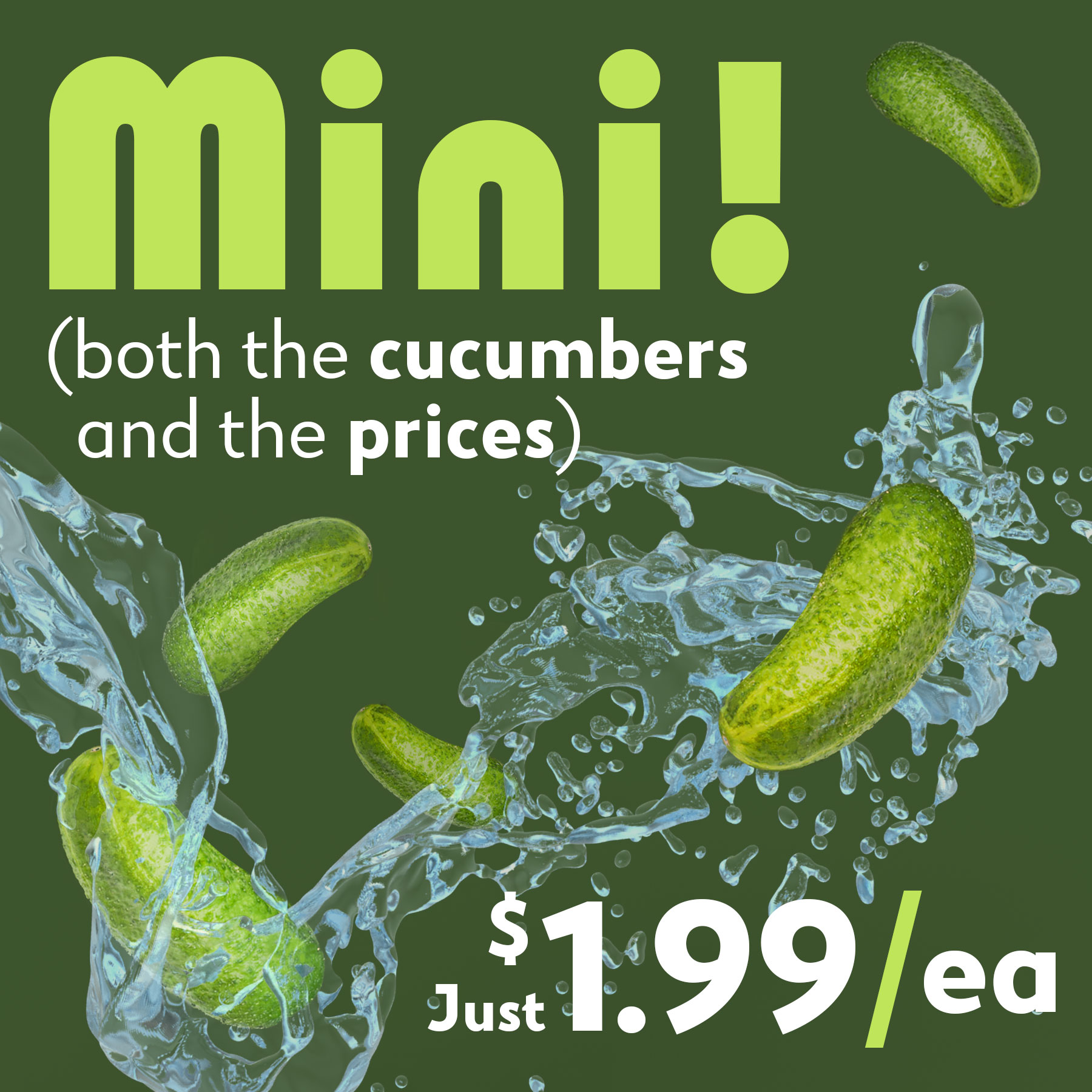 Mini-Cucumbers - Kin's Farm Market